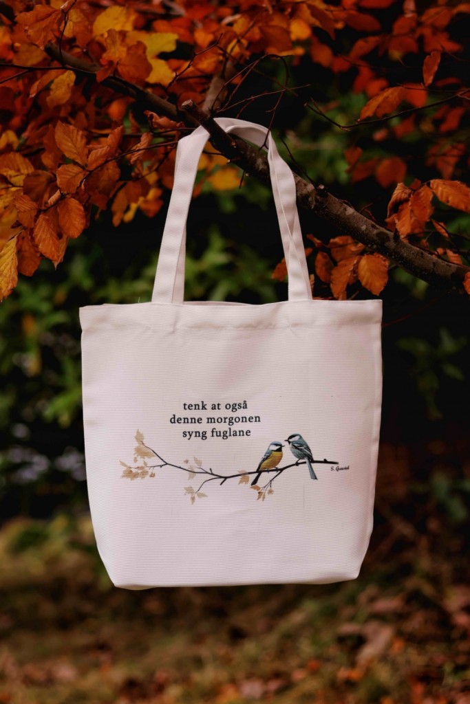 Handlenett | Kvild forlag, Solveig Johanne Grønstøl